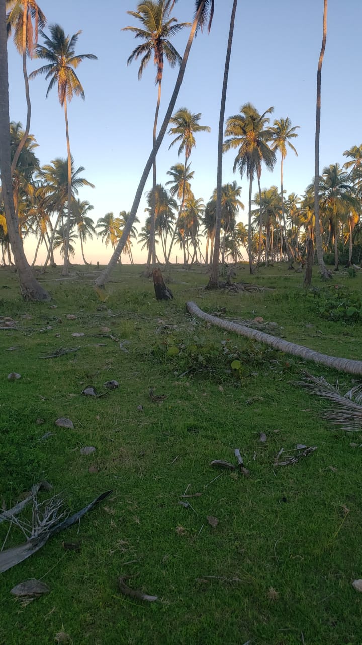 TERRENO FRENTE A LA PLAYA - Premium Real Estate