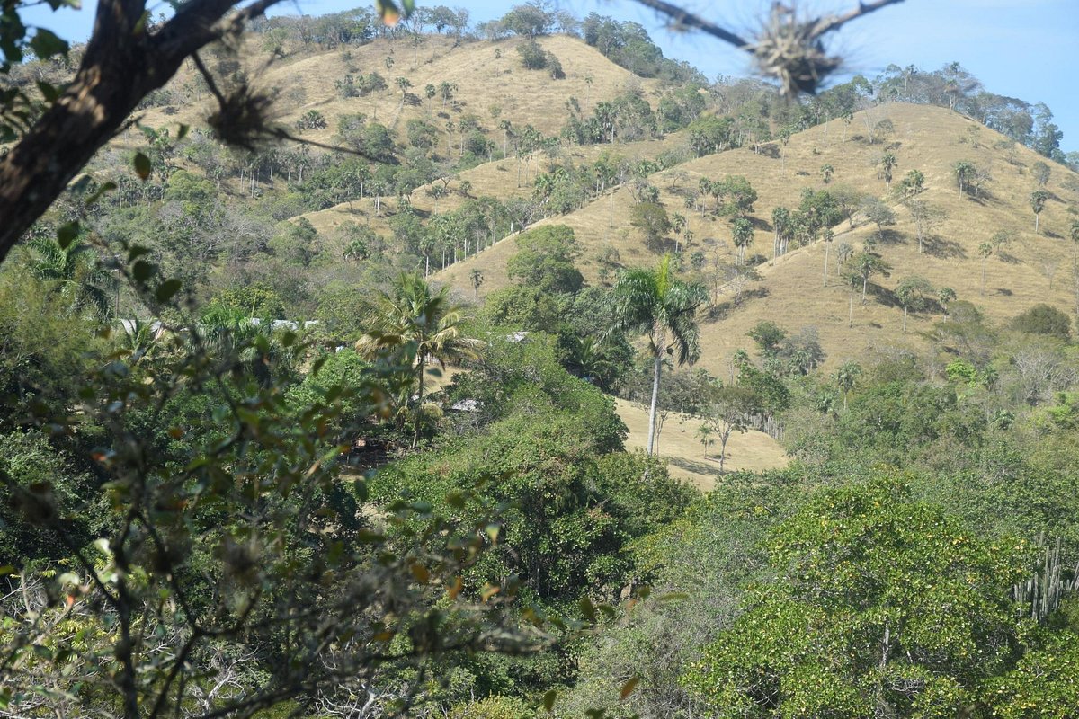 TERRENO CAMPO VERDE SAJOMA 2410MTS2 - HEMMET Realty Group